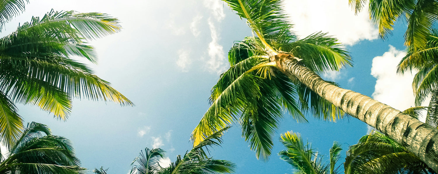 Micros Clothing - Est. 1982